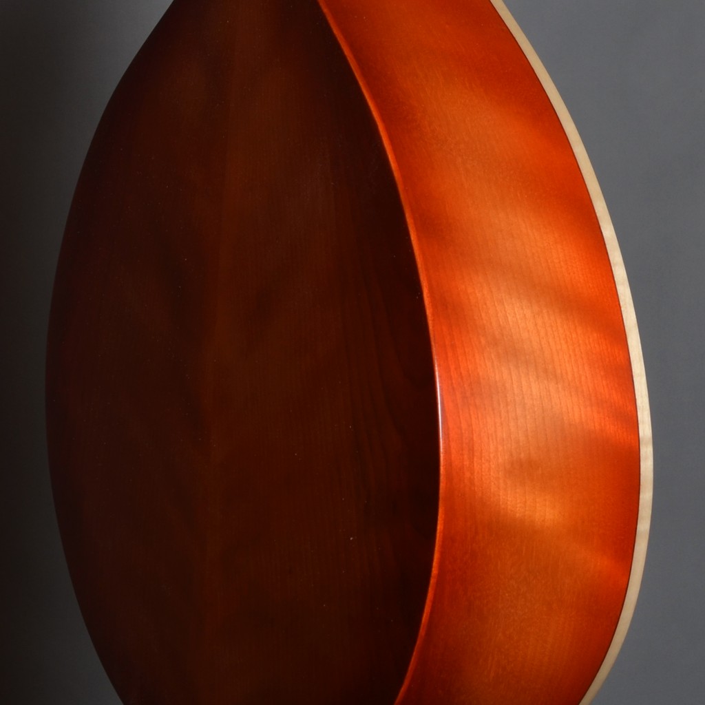 Cittern – Atelier de lutherie Philippe Berne