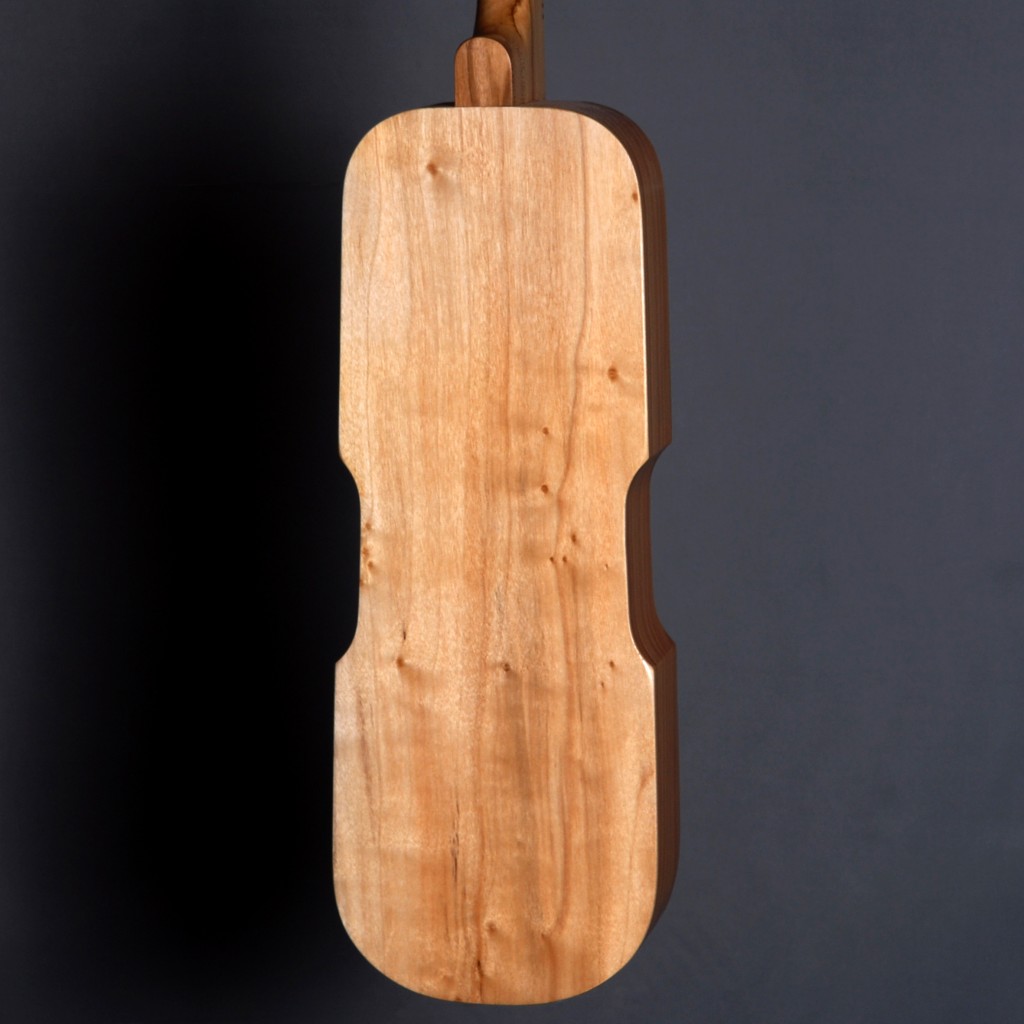 Bowed citol – Atelier de lutherie Philippe Berne