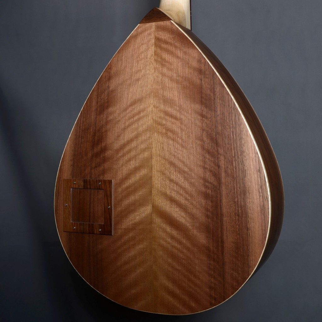 Medieval Guitar – Atelier de lutherie Philippe Berne