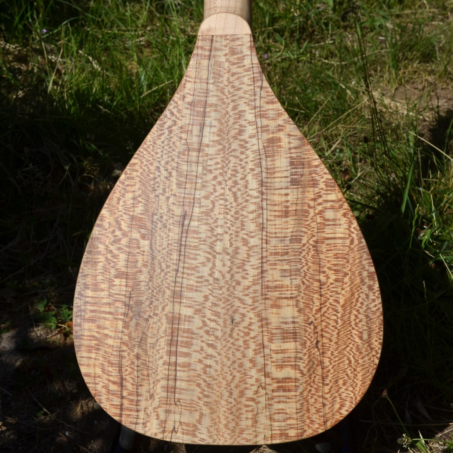 Medieval cittern – Atelier de lutherie Philippe Berne